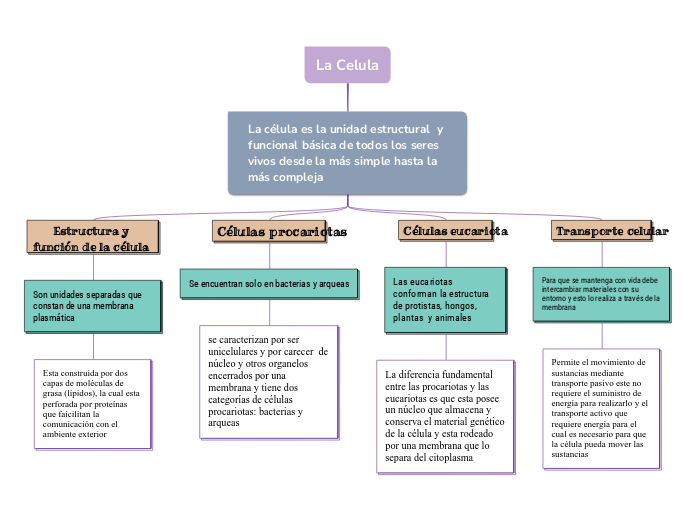 La Celula - Mind Map